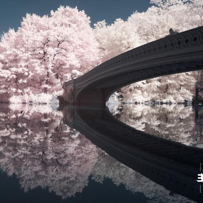 Liam Noble Long Game CD EDN1129 NUOVO | eBay