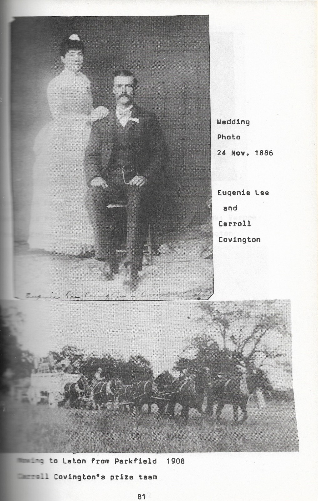 Roots and Branches of Our Dalton Family Tree by Ivadelle Dalton ...