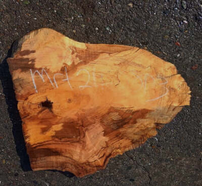 Myrtle Wood | Exotic Wood | Spalted | DIY Wood Crafts | Mrt24-0803 | eBay