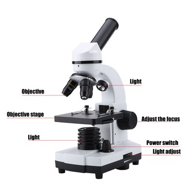 40-640X Magnification Biological Binocular Microscope Teaching ...