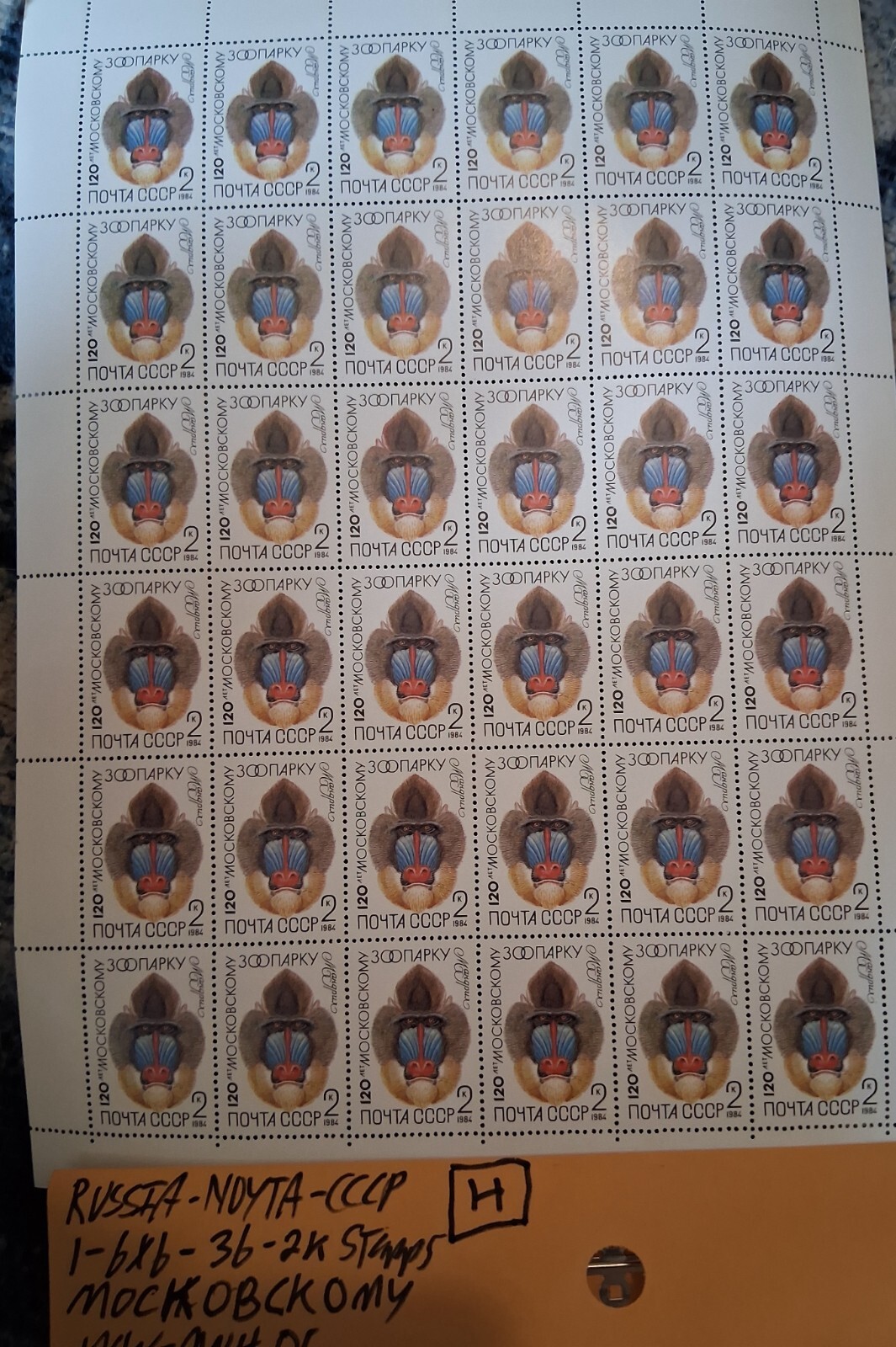 RUSSIA NOYTA CCCP 1-6x6 Sheet of 36 2k BABOON Stamps Unused Mint MNH OG ...