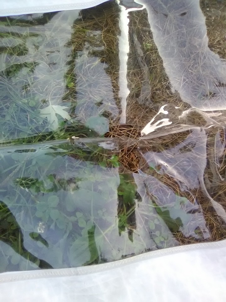 Large North Sails Mainsail for Sailboat Luff 24',5" Leech 29' Foot 15 ...