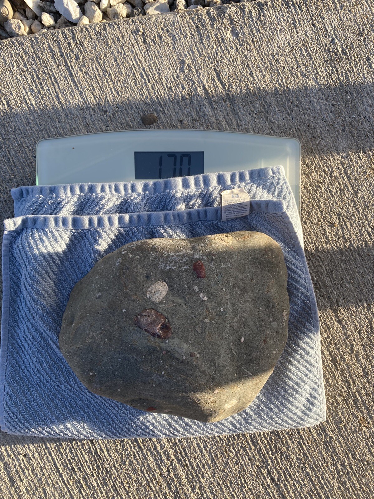 red grey White conglomerate pudding stone Michigan Upper Peninsula Rock ...