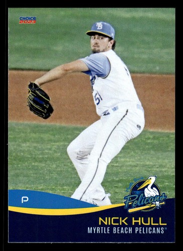 Nick Hull 2023 Choice Myrtle Beach Pelicans #18 Myrtle Beach Pelicans ...
