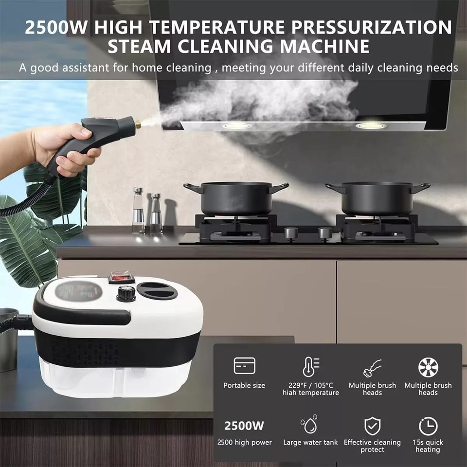 Portable 2500W Handheld Steam Cleaner High Temperature Steam Cleaning ...