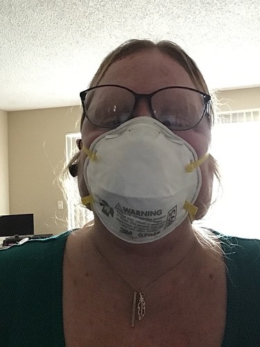 3M 7048 N95 Particulate Respirator Mask - Pack of 20 for sale online | eBay