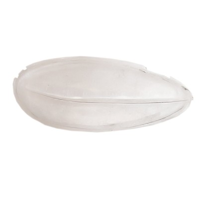 Front Right Indicator Lens/Cover Clear for SB125T-23A, JL125T-12A ...