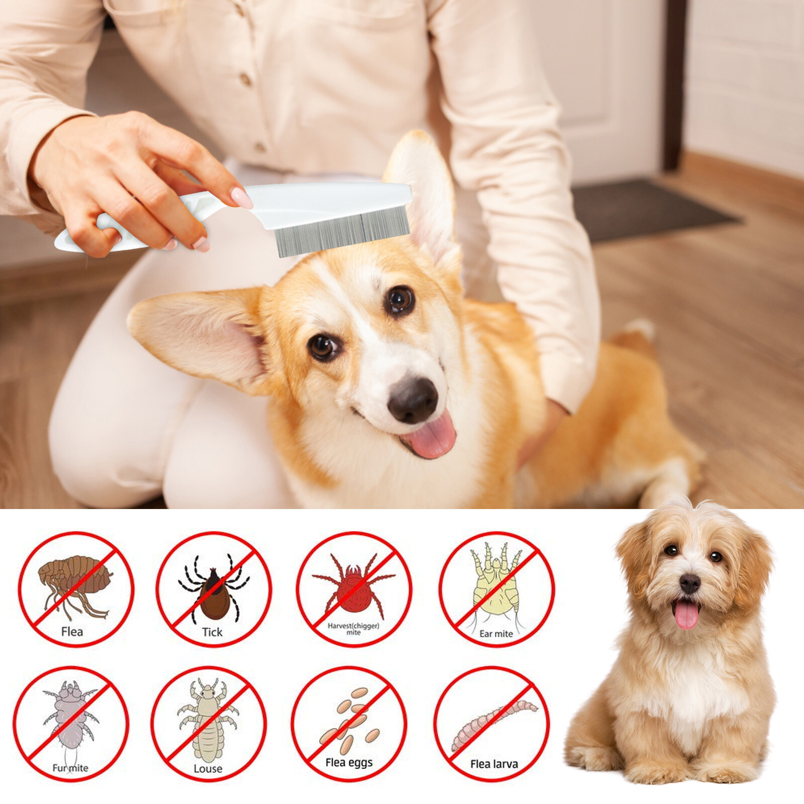 Cat Dog Lice Flea Comb Multifunctional Grooming Tool Pet Supplies ...