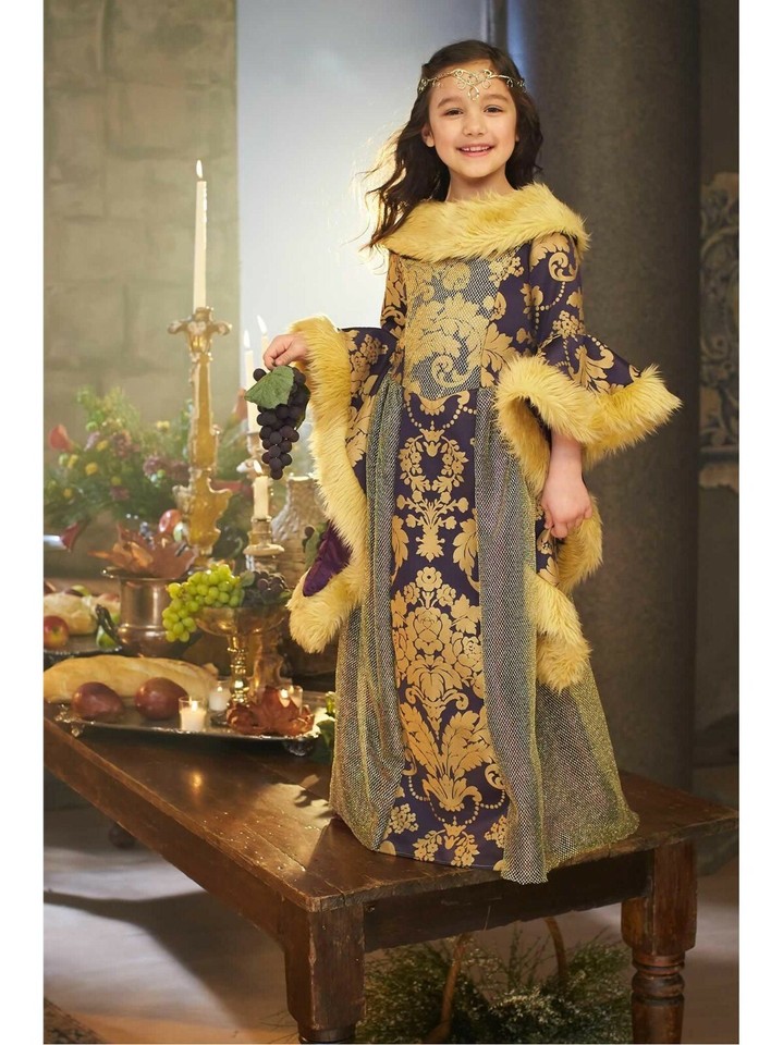 EUC CHASING FIREFLIES GIRL 6 PURPLE MEDIEVAL PRINCESS QUEEN COSTUME ...
