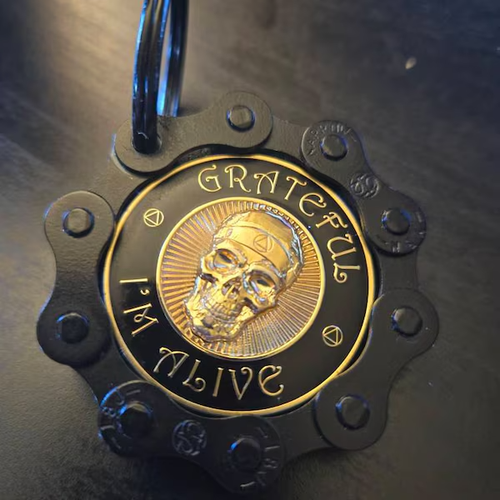 AA Key Chain Chip Holder Keyring Black Medallion NA Al-Anon Alcoholics ...