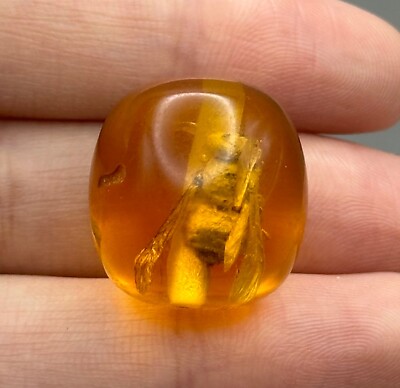 Beautiful ancient amber with fossilized million year old insect Bead | eBay