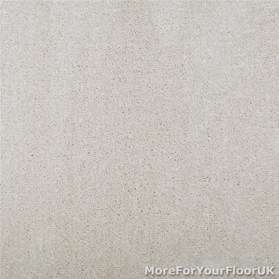 Cream Carpet Twist Loop Saxony Lounge Bedroom Hardwearing CHEAP Carpet ...