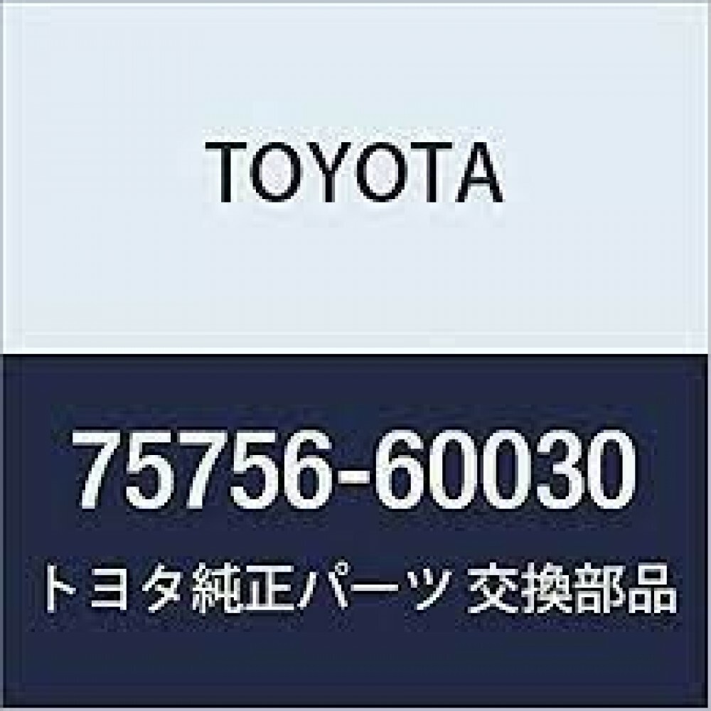 TOYOTA Genuine OEM GX470 Front Door Window Frame Molding Rear LH 75756 ...