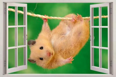 Cute Hamster 3D Window Decal Wall Sticker Home Decor Art Mural Animals ...