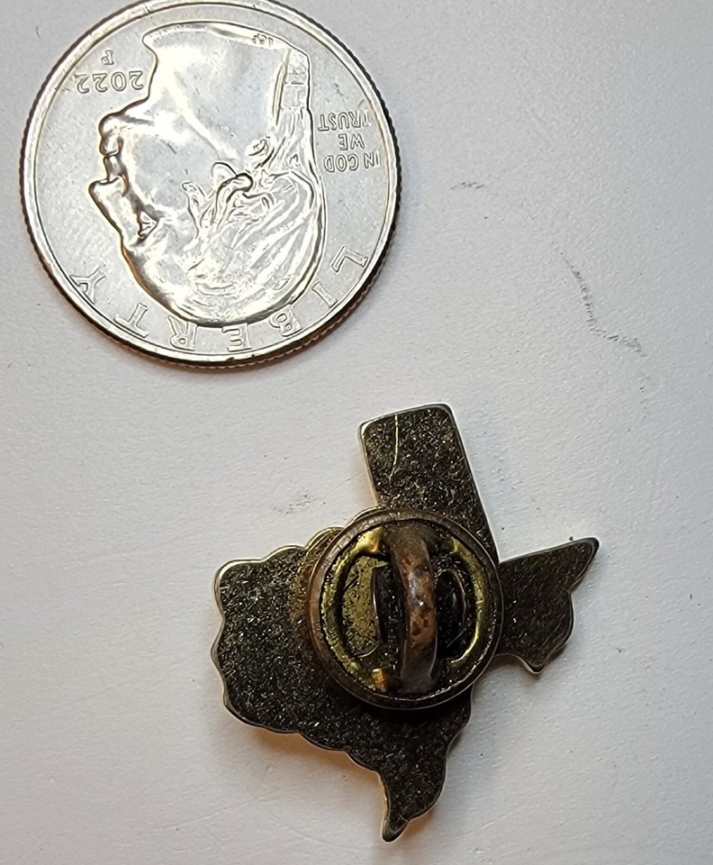 Vintage Texas Gold Tone Bluebonnet Flowers Pinback Pin | eBay