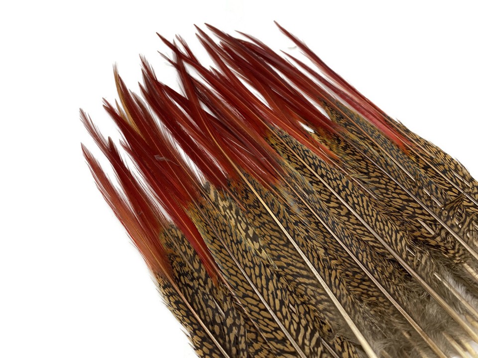 10 Pieces - 4-6" Natural Red Golden Pheasant Red Tip Loose Pointy ...