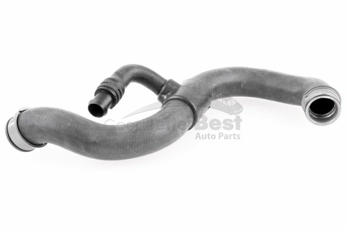 One New VAICO Radiator Coolant Hose Lower V302968 2045010482 for ...
