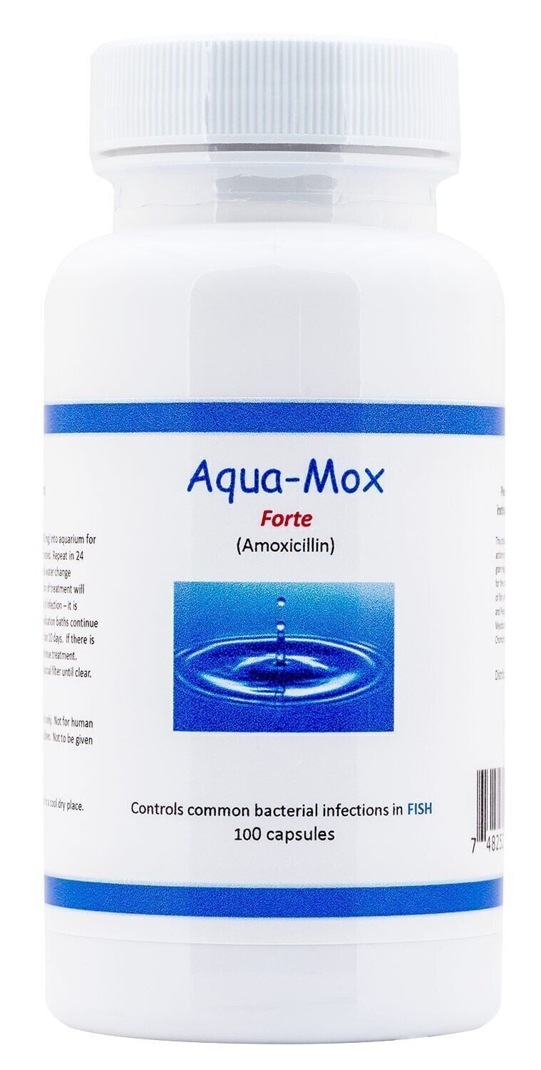 Aqua-Mox Forte (Amoxicillin) Fish Antibiotic 500mg - 100 Capsules for ...