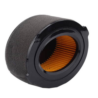 Air Filter For Troy-Bilt 21D-65M1011 21D-65M1066 21D-65M7711 21D ...