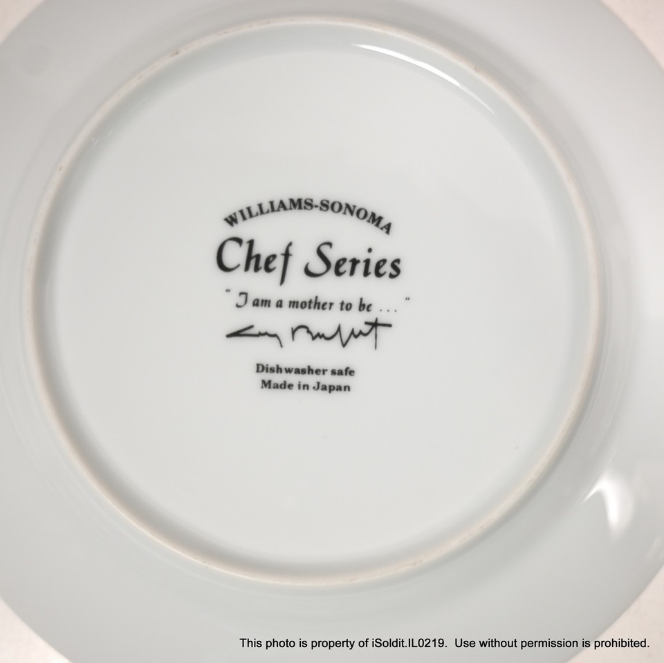 NEW 10-PC GUY BUFFET Williams-Sonoma THE CHEF SERIES SALAD PLATES 7-7/8 ...