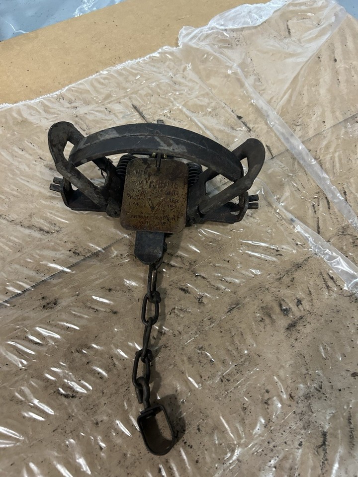 Used Victor Coil Spring Traps | eBay