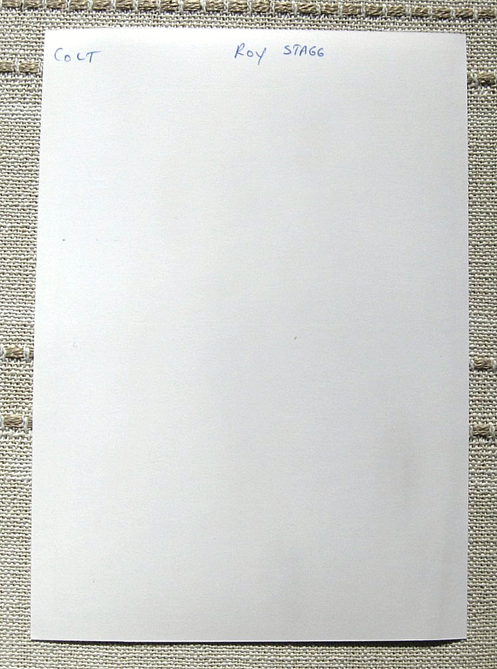 Vintage Colt Studios Photograph - Model - Roy Stagg - Beefcake Physique ...