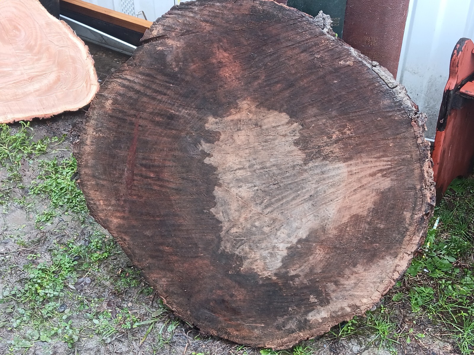 Natural Live edge Pecan round wood slab tree slice, table tops, D.I.Y ...