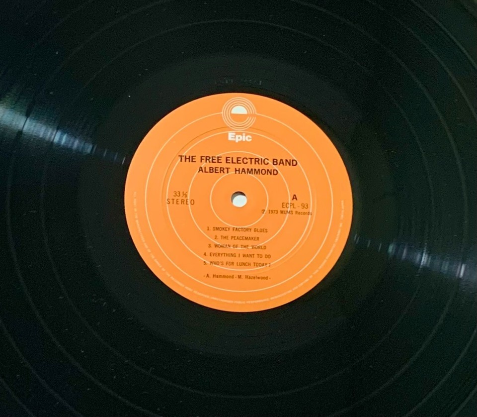 ALBERT HAMMOND – THE FREE ELECTRIC BAND – 1973 – LP – FIRST JAPAN ISSUE ...