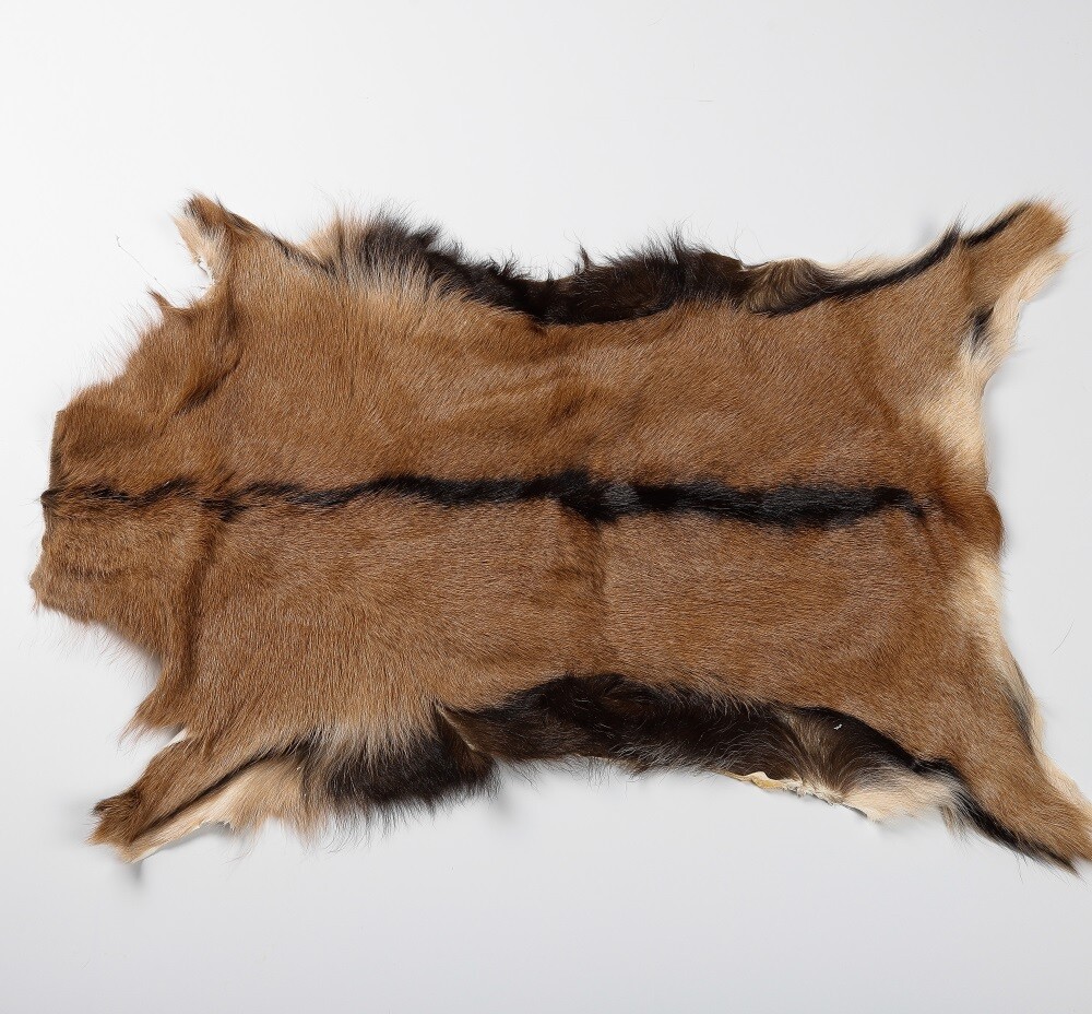1pcs Real Goat Skin Fur Pelts Hide Goatskin Rug Leather Clothing ...