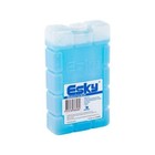 Esky Medium Ice Cooler Brick AU Stock | eBay Australia