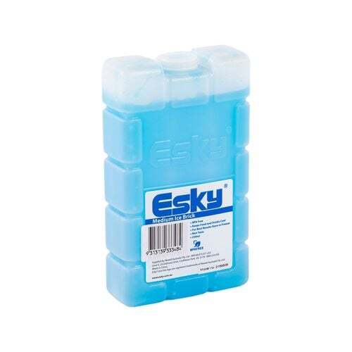 Esky Medium Ice Cooler Brick AU Stock | eBay Australia