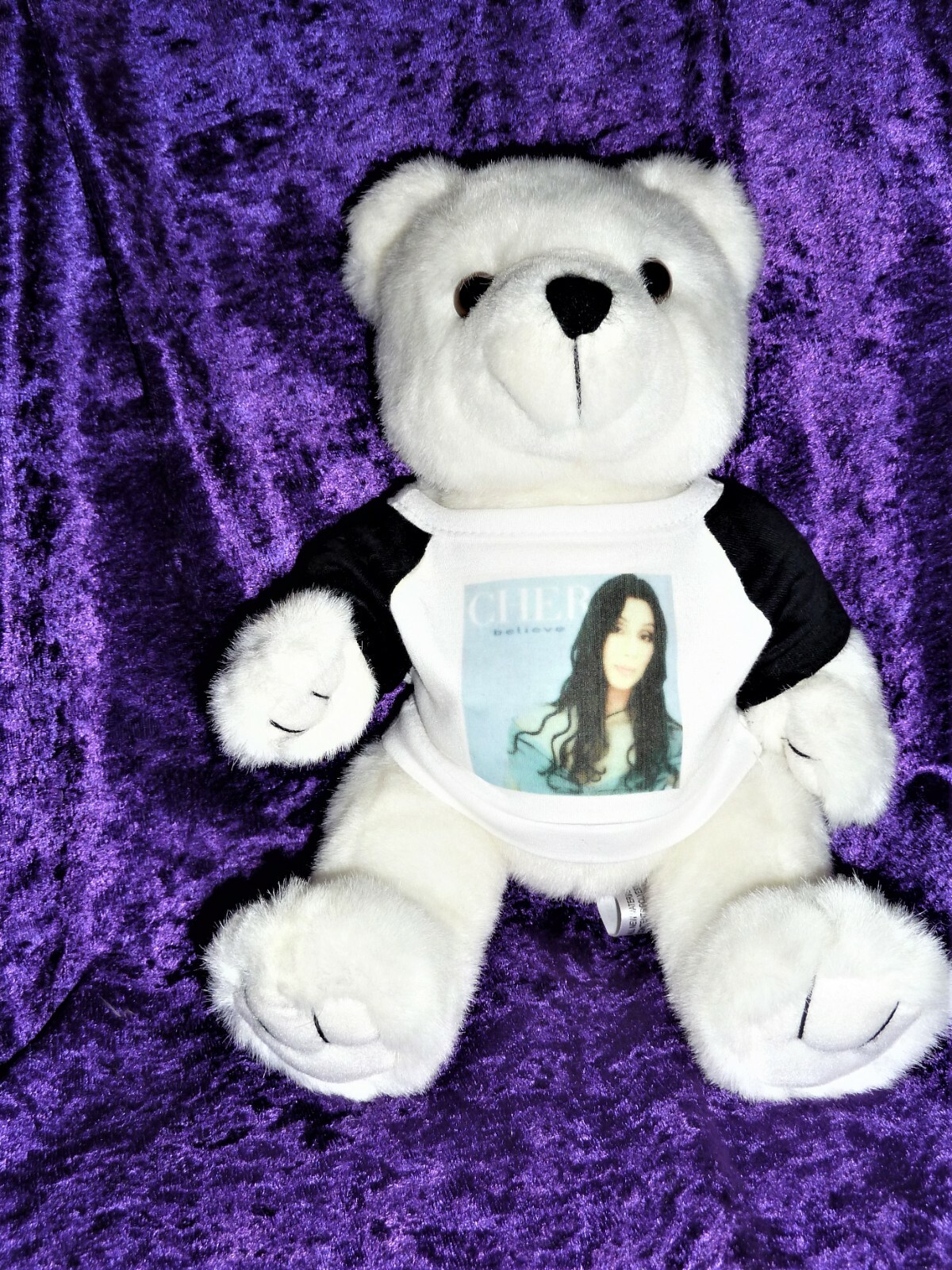 Cher Believe Tour White Teddy Bear Limited Edition with Shirt Steven ...
