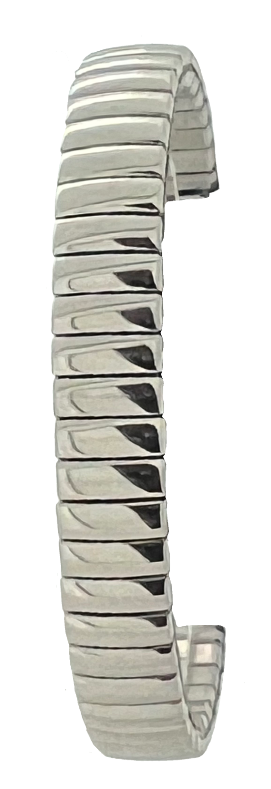 Silver Tone 10mm Polished Stainless Steel Expanding Watch Strap ...