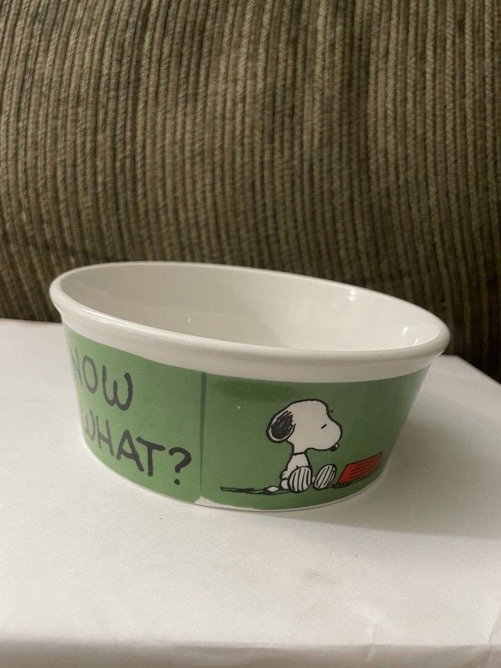 PEANUTS SNOOPY DOG DISH BOWL “Now What?" "More Please" *NEW* (B) | eBay