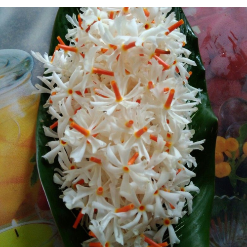 Organic Dried Night Jasmine Flowers Nyctanthes Sepalika Arbor Tristis ...