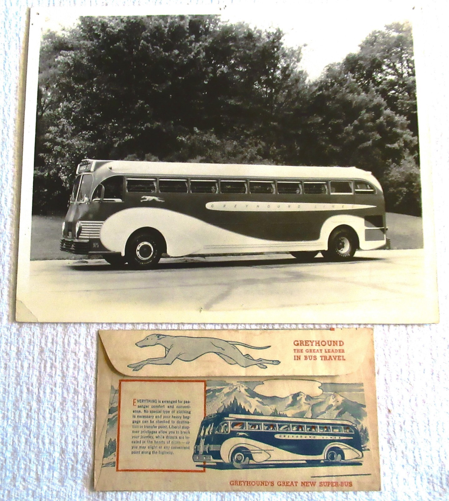 GREYHOUND BUS Photograph (circa 1930s) + PACIFIC GREYHOUND LINES Ticket ...