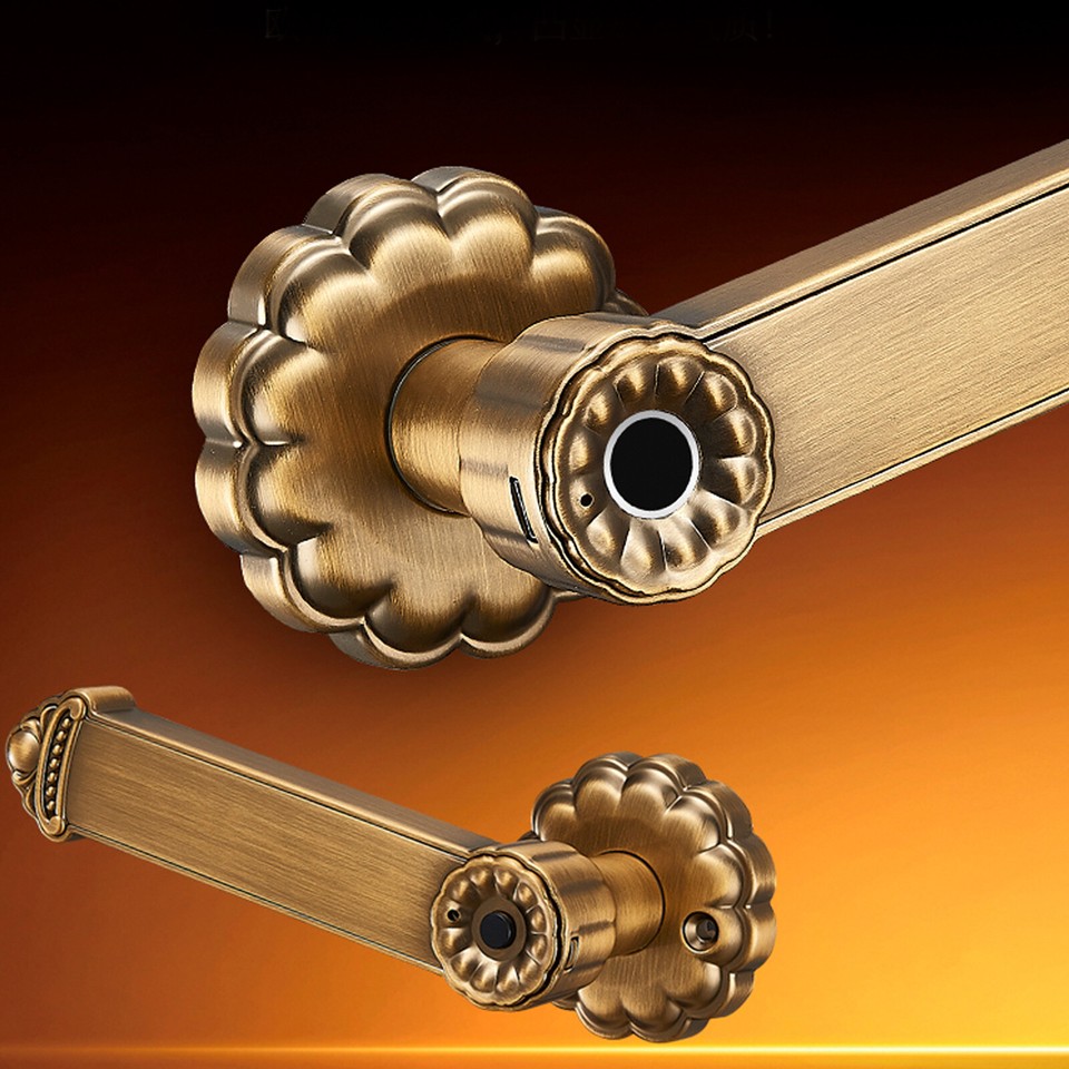 New European-Style Smart Fingerprint Door Lock Bronze/Grey ...
