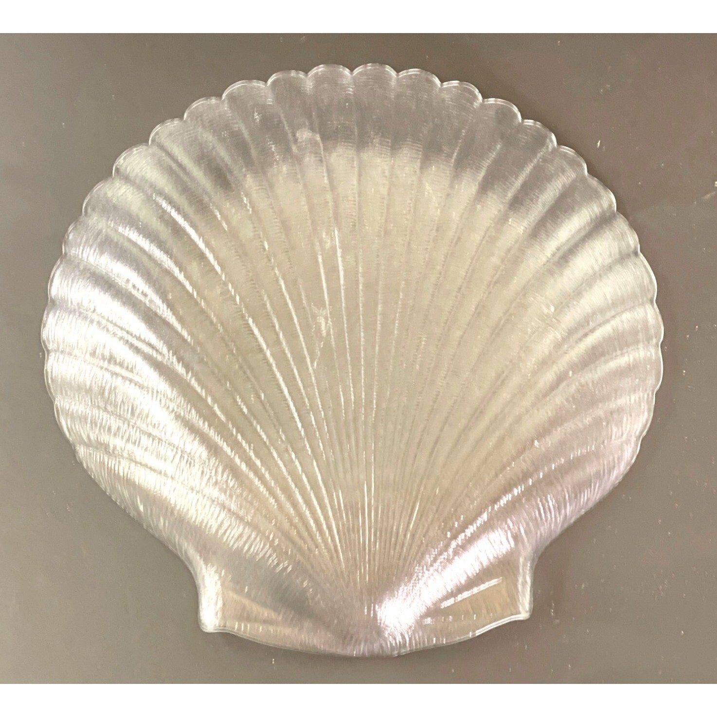 Clam Shell Seashell Shaped Clear Plates 8" x 7.75" x 1" Set of 2 | eBay