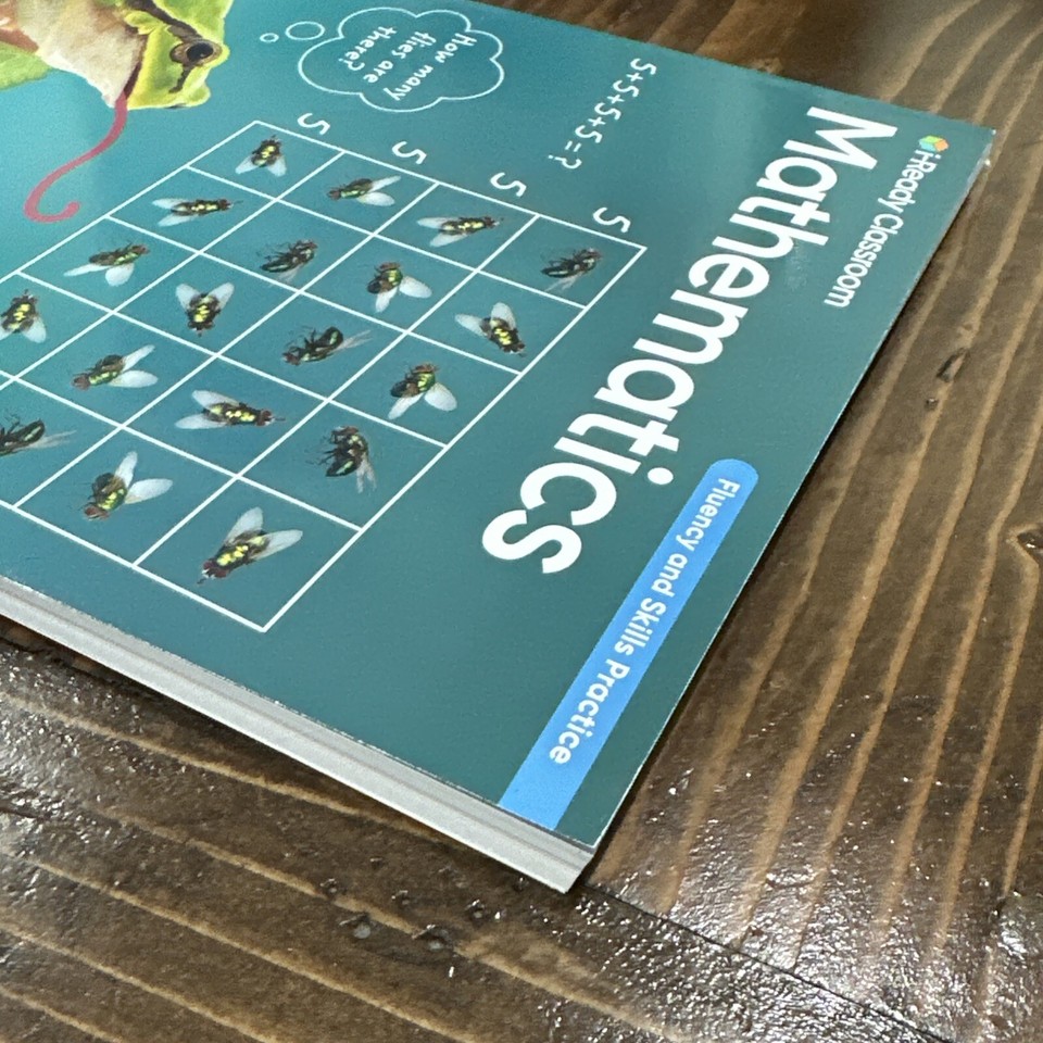 i-Ready Classroom Mathematics Fluency and Skills Practice Grade 2 ...