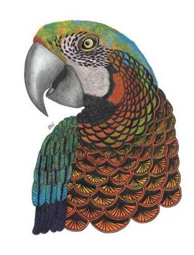 TangleEasy Lined Journal Parrot (Quiet Fox Designs) Hyper-Detailed ...