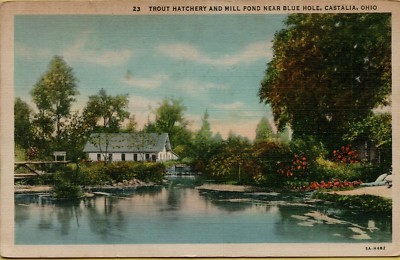 Trout Hatchery and Mill Pond Near Blue Hole Castalia Ohio OH Postcard ...