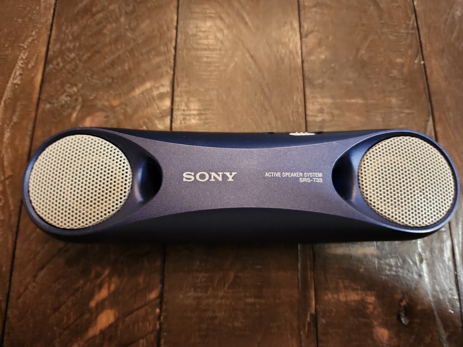 Sony Speaker System Blue