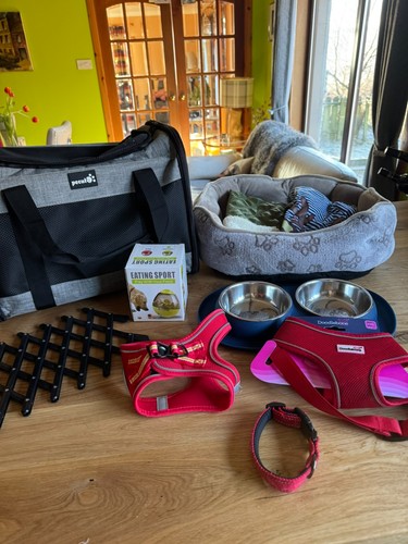 Puppy/New Dog Equipment nearly new! | eBay UK