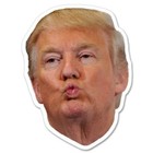 Donald Trump Face Car Vinyl Sticker - SELECT SIZE | eBay