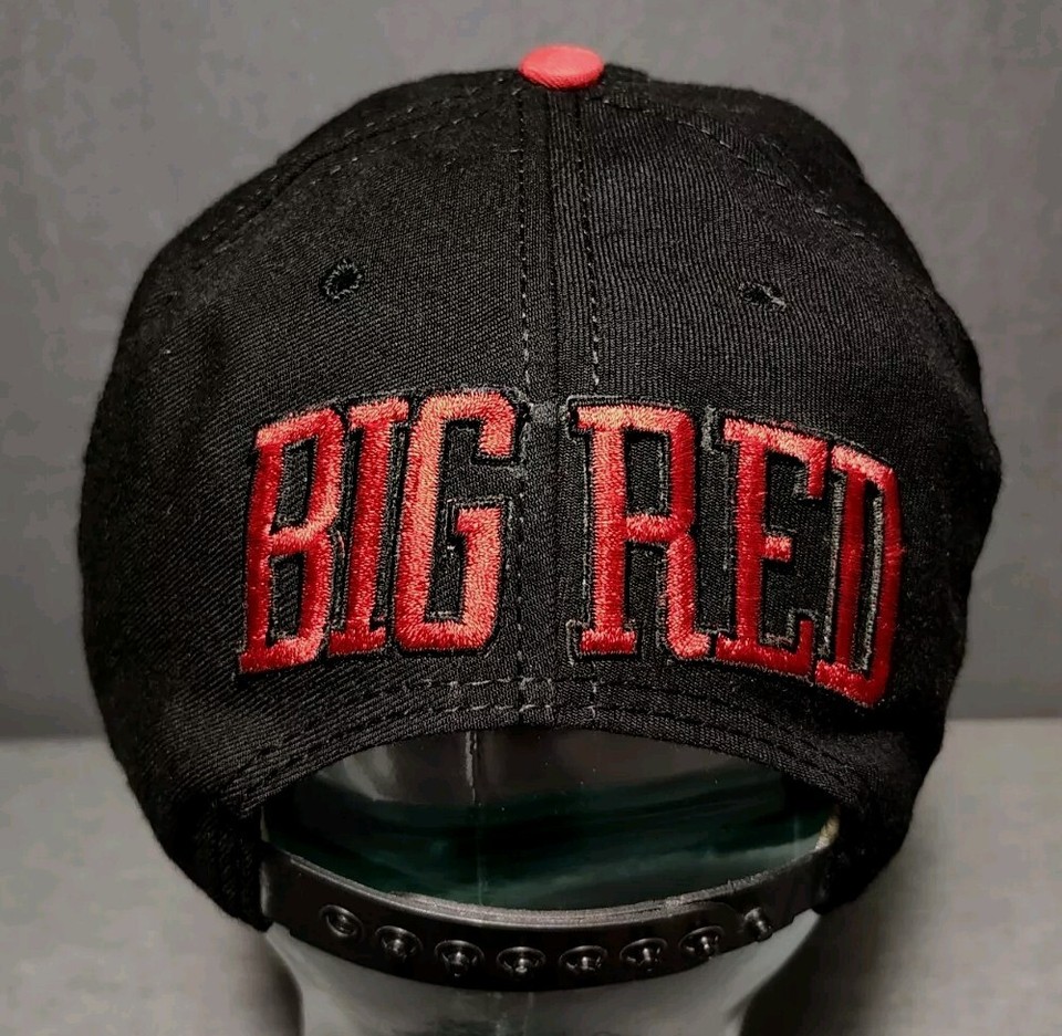 Vtg Denison University “Big Red” Embroidered Snapback Hat University ...