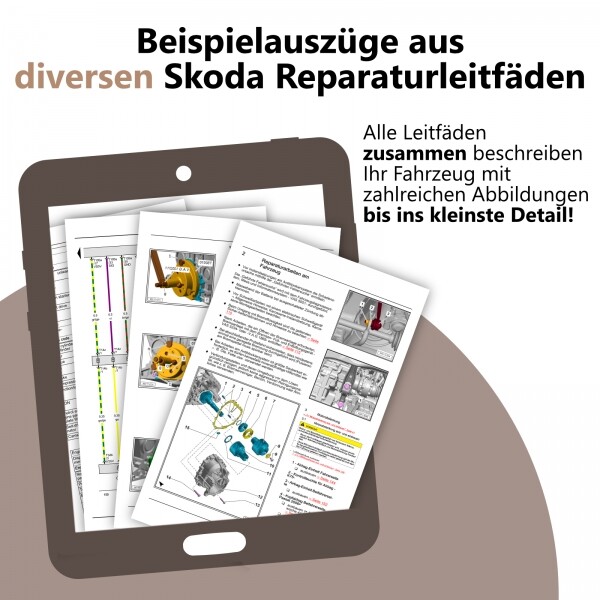 Skoda Fabia Inspektion Zurckstellen