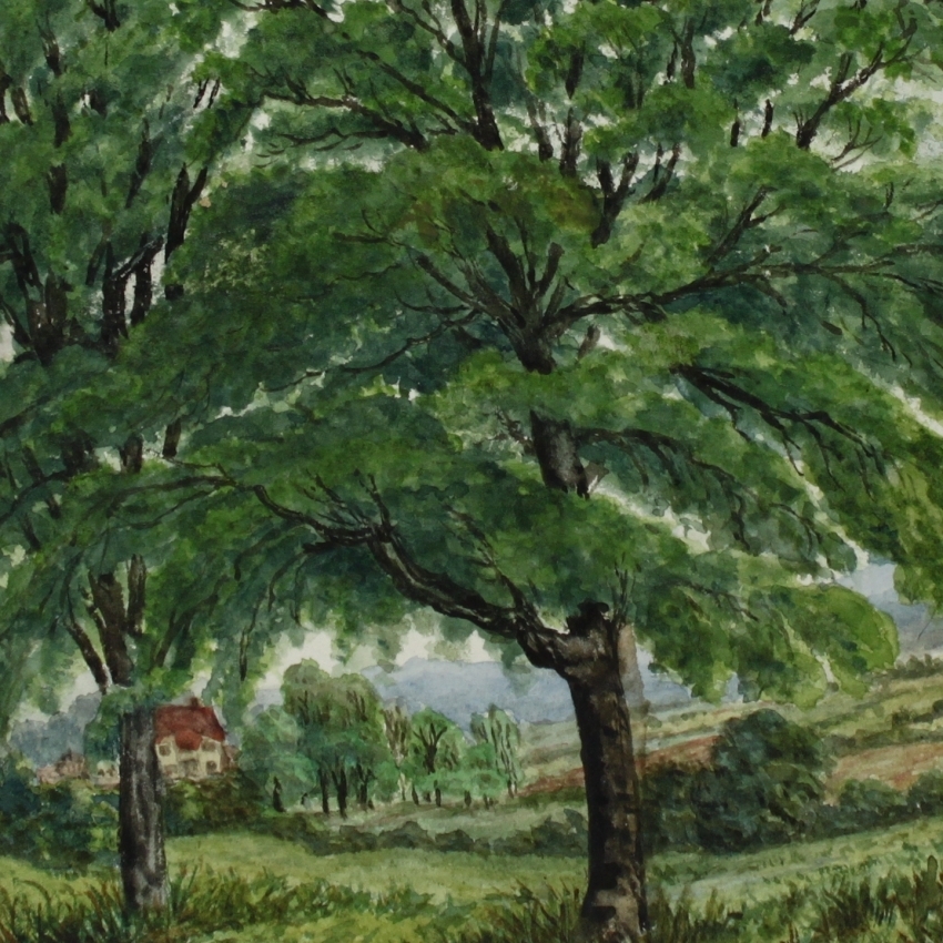 J Morgan Traditional Summer Beech Landscape Bristol c1810 Watercolour ...