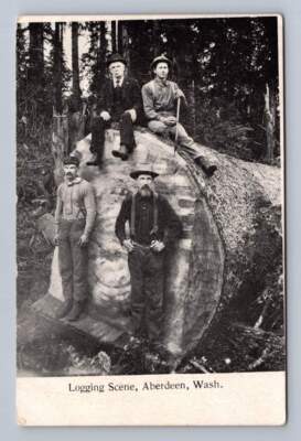 "Logging Scene" ABERDEEN Washington Antique Lumberjack Postcard 1908 | eBay