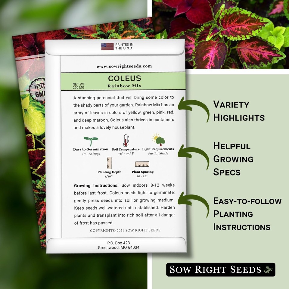 Coleus Rainbow Mix Seeds for Planting - Beautiful Flowers to Plant in a ...