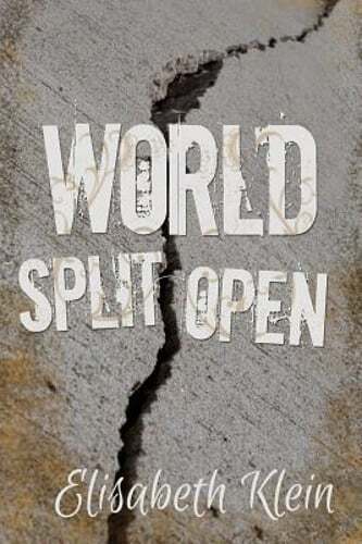 World Split Open by Elisabeth Klein: New 9781632326614| eBay